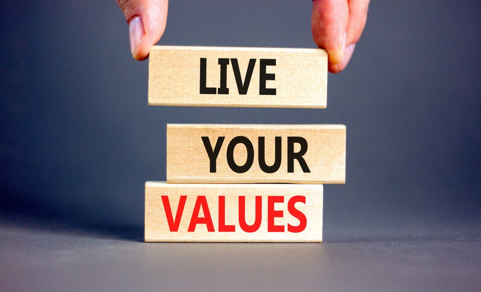 Les valeurs de l'institut Concordis